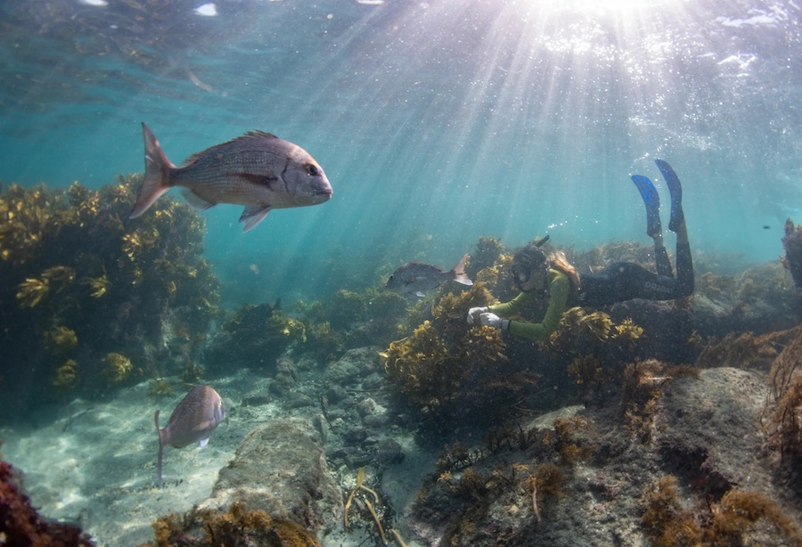 YOE - Explorers Programme