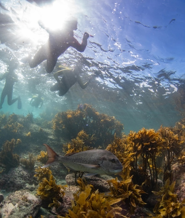 YOE - Explorers Programme